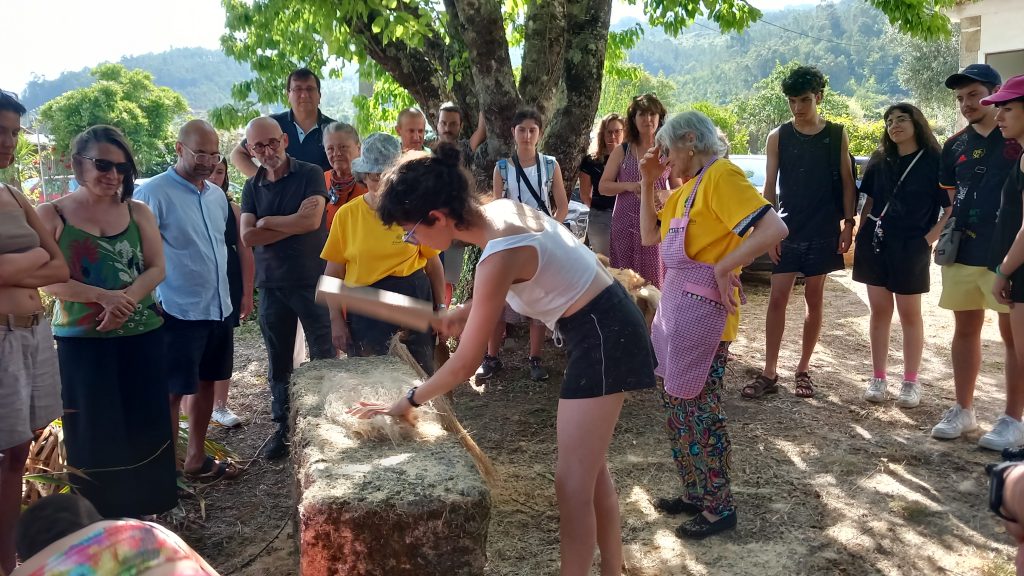 Viseu Dão-Lafões – VERA Platform